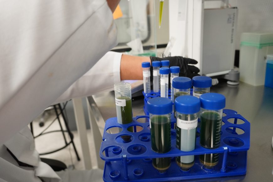 Why Choosing the Right Cannabis Testing Lab is So Important